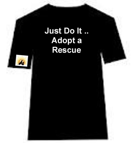 Fun Slogan “BPR” T-shirts